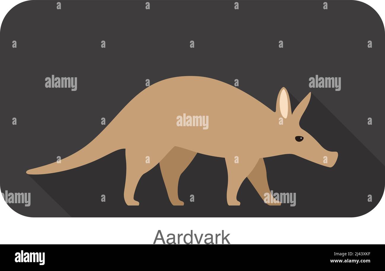 aardvark walking flat icon, side view, vector illustration Stock Vector ...