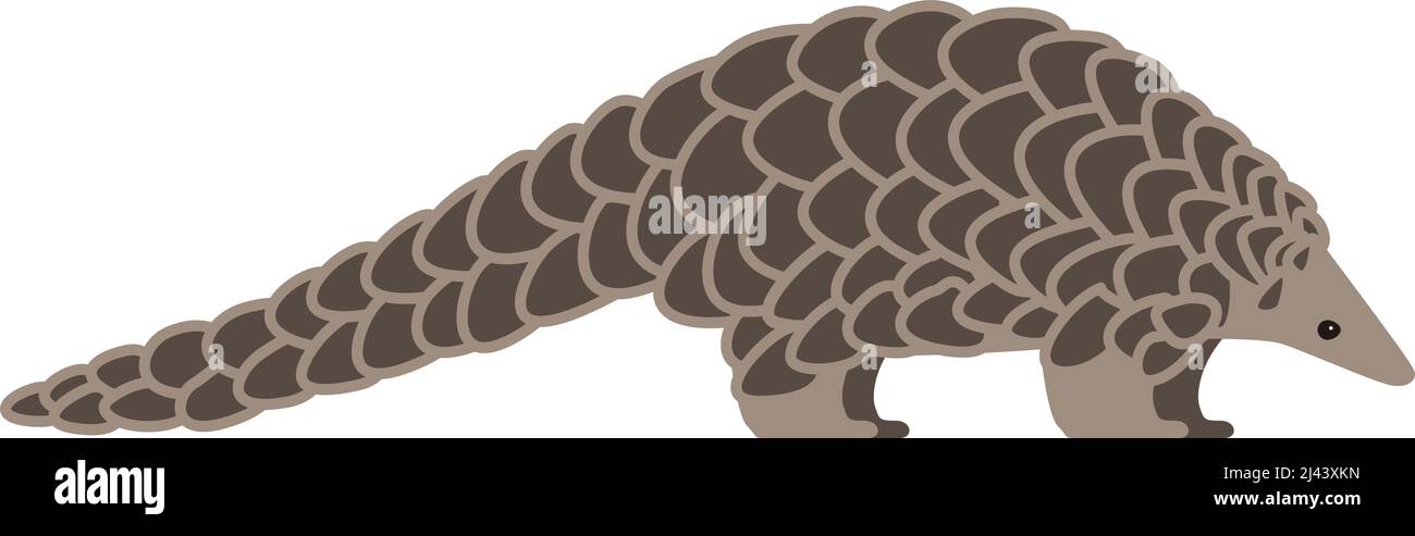 pangolin walking and searching, side view, vector illustration Stock ...