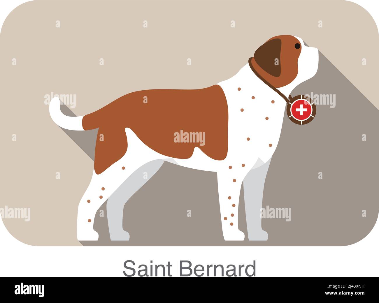 cute Saint Bernard dog flat icon, vector illustration Stock Vector ...