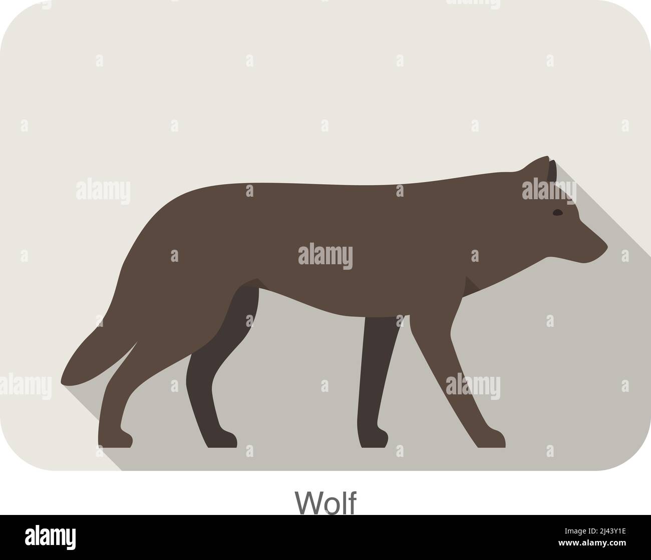 Wolf walking or running on the ground, vector illustration Stock Vector ...