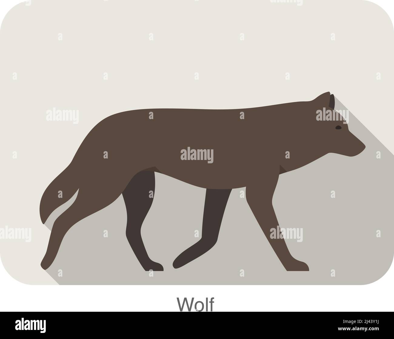 Wolf walking or running on the ground vector illustration Stock Vector ...