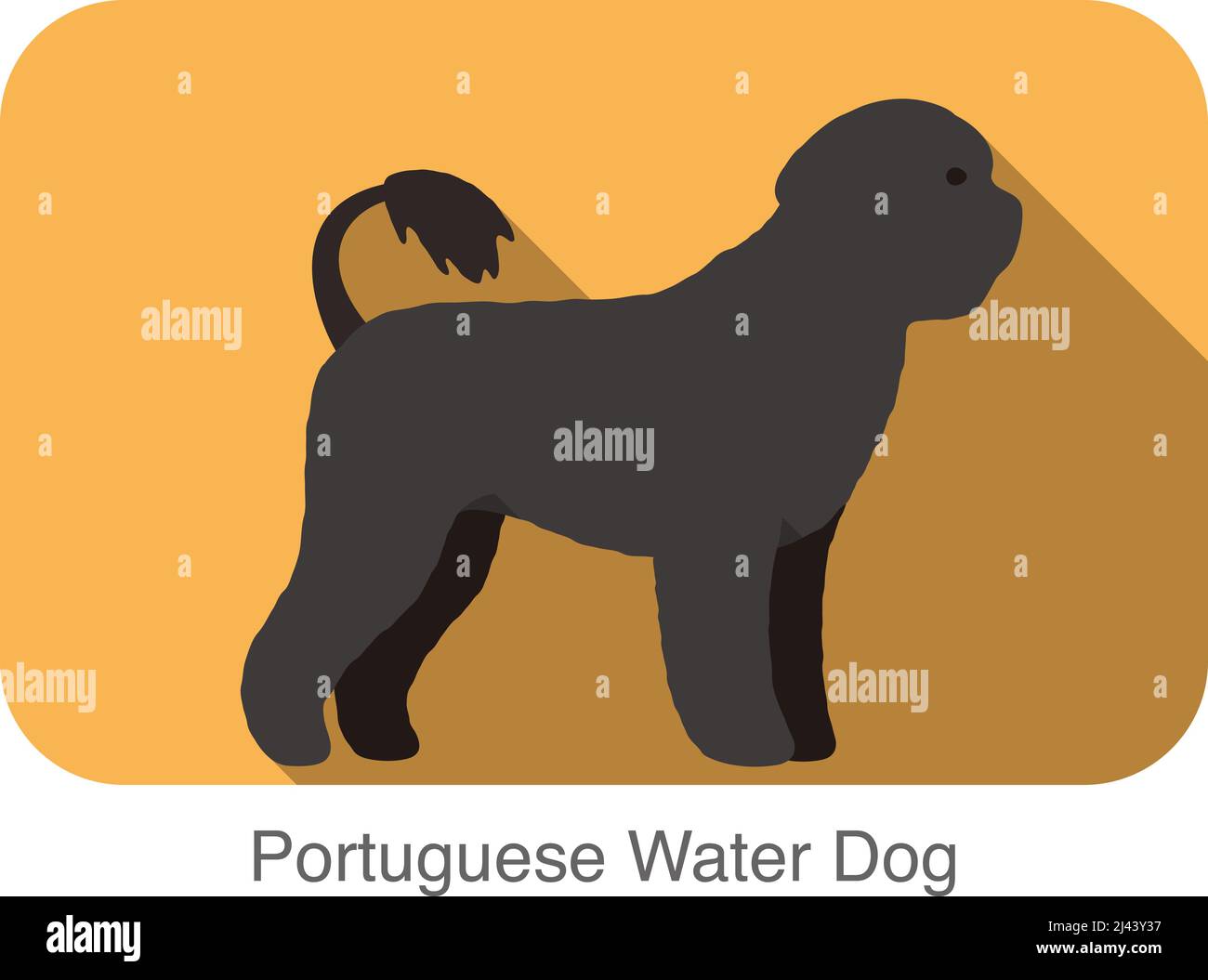 Portuguese water dog breed flat icon design, vector illustration Stock ...