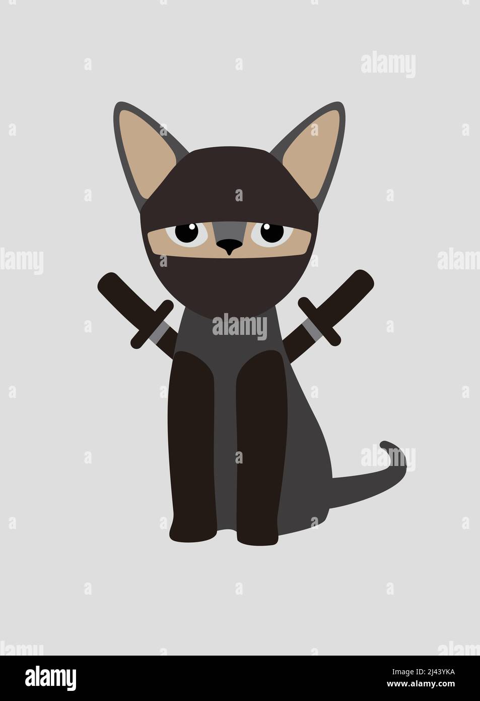 Ninja Cat Anime
