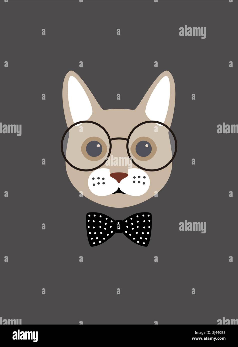 Scholar cat Stock Vector Images - Alamy