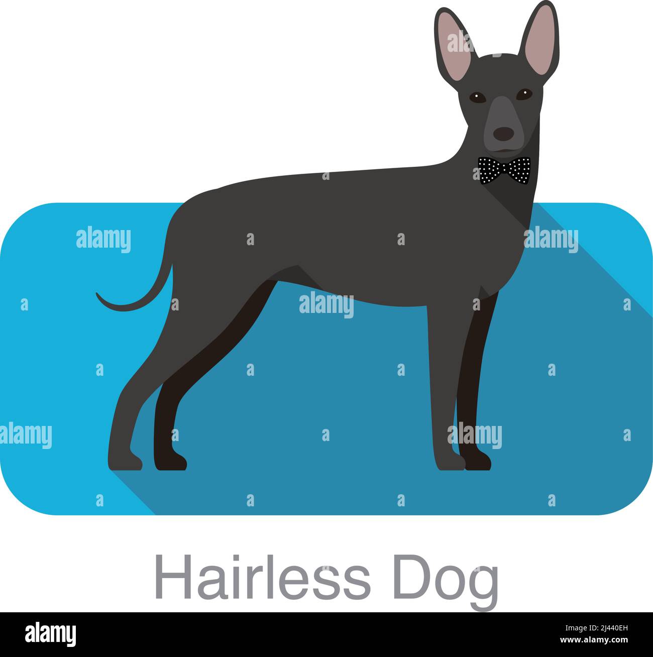 Cute puppy standing watching Stock Vector Images - Alamy