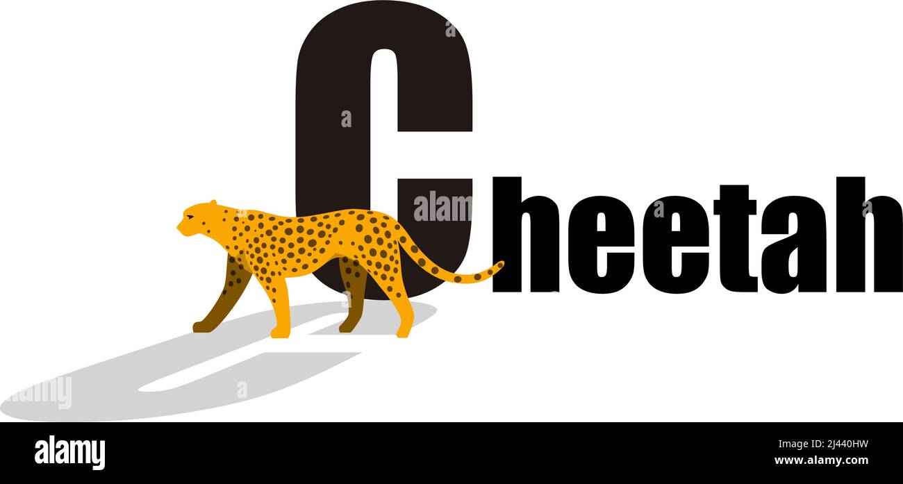 Cheetah walking side flat 3D icon design, vector illustration Stock ...