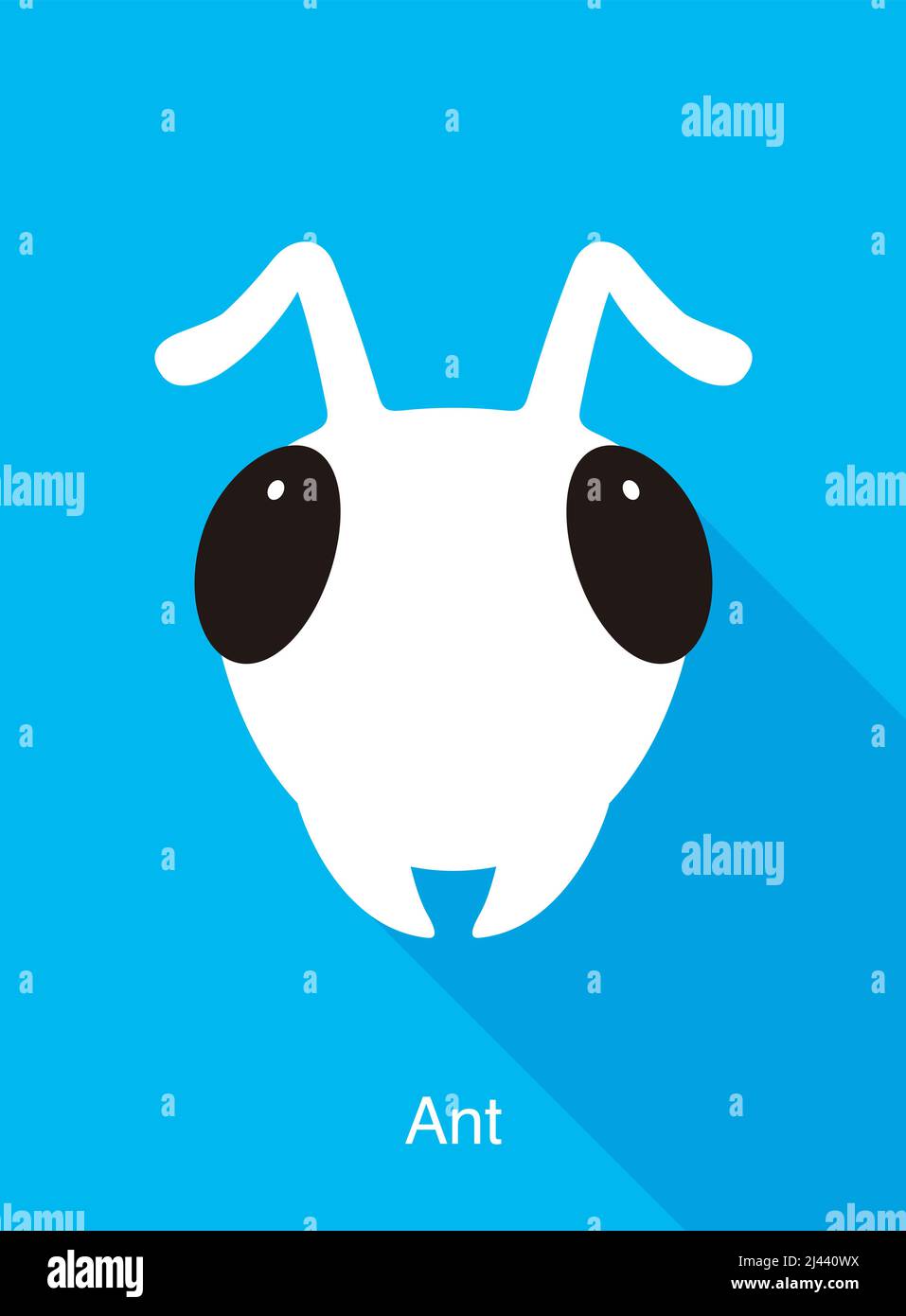 Flat head ant hi-res stock photography and images - Alamy