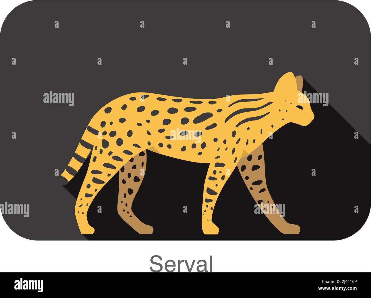 Serval silhouette hi-res stock photography and images - Alamy