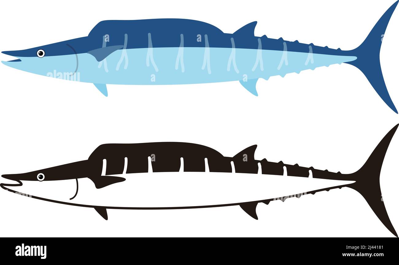 Wahoo fish, sider view, vector illustration Stock Vector Image & Art ...