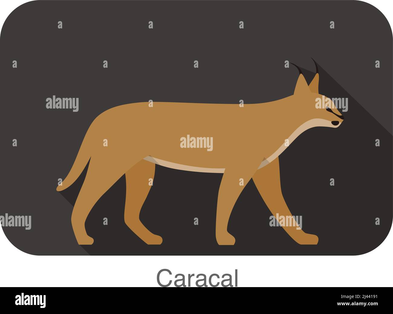 Big cat predator caracal Stock Vector Images - Alamy