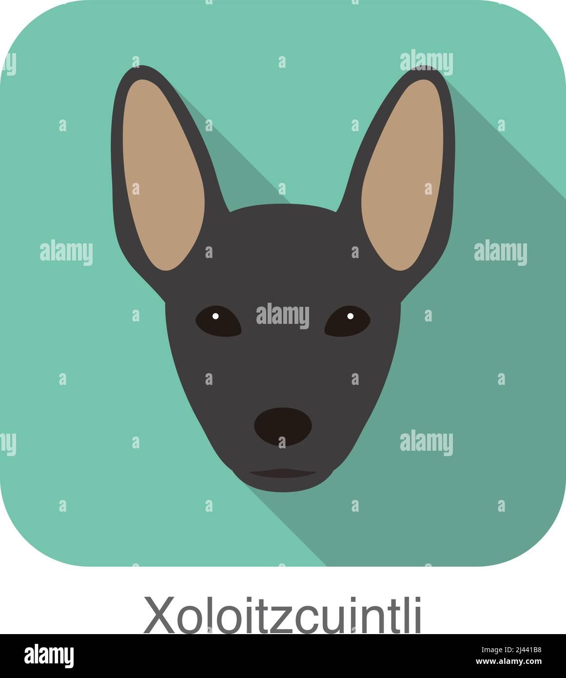 Hairless dog Xoloitzcuintli face, vector illustration Stock Vector ...