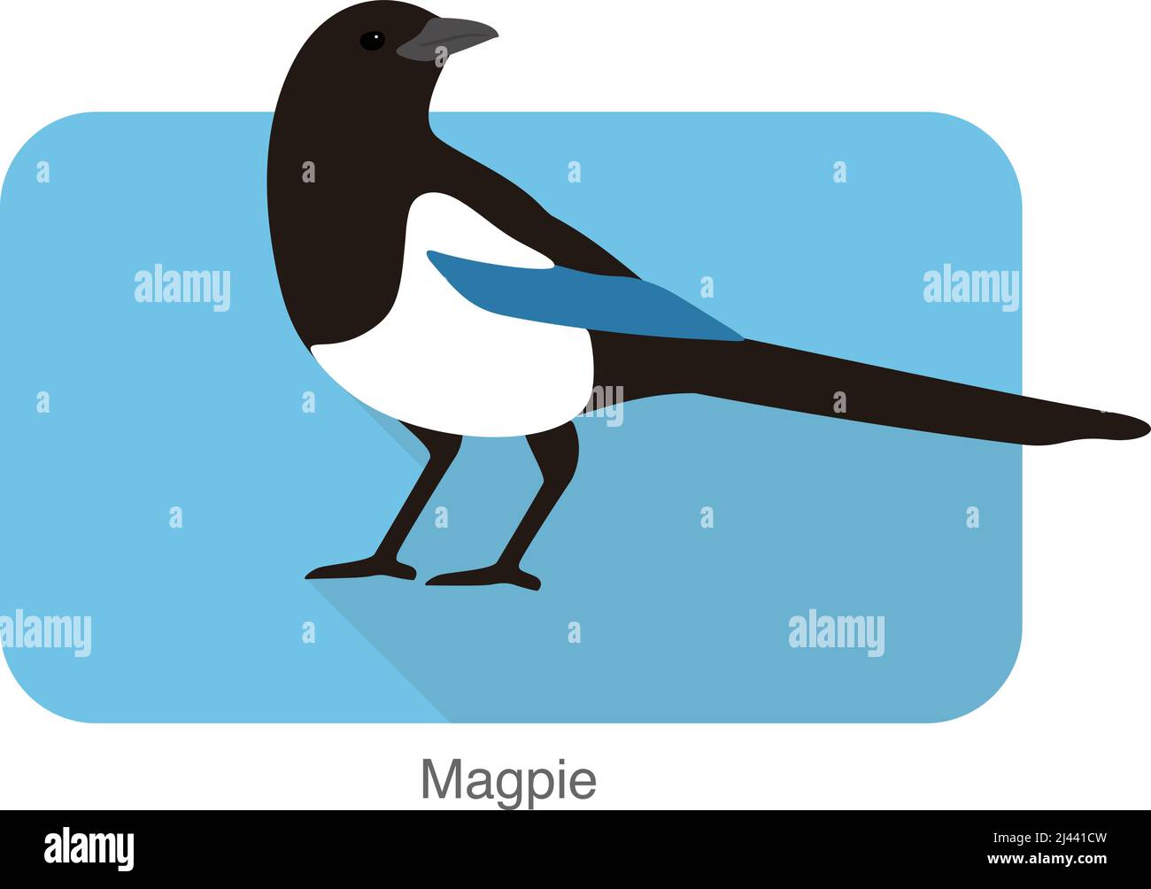 Magpie bird standing on a branch, vector illustration Stock Vector ...