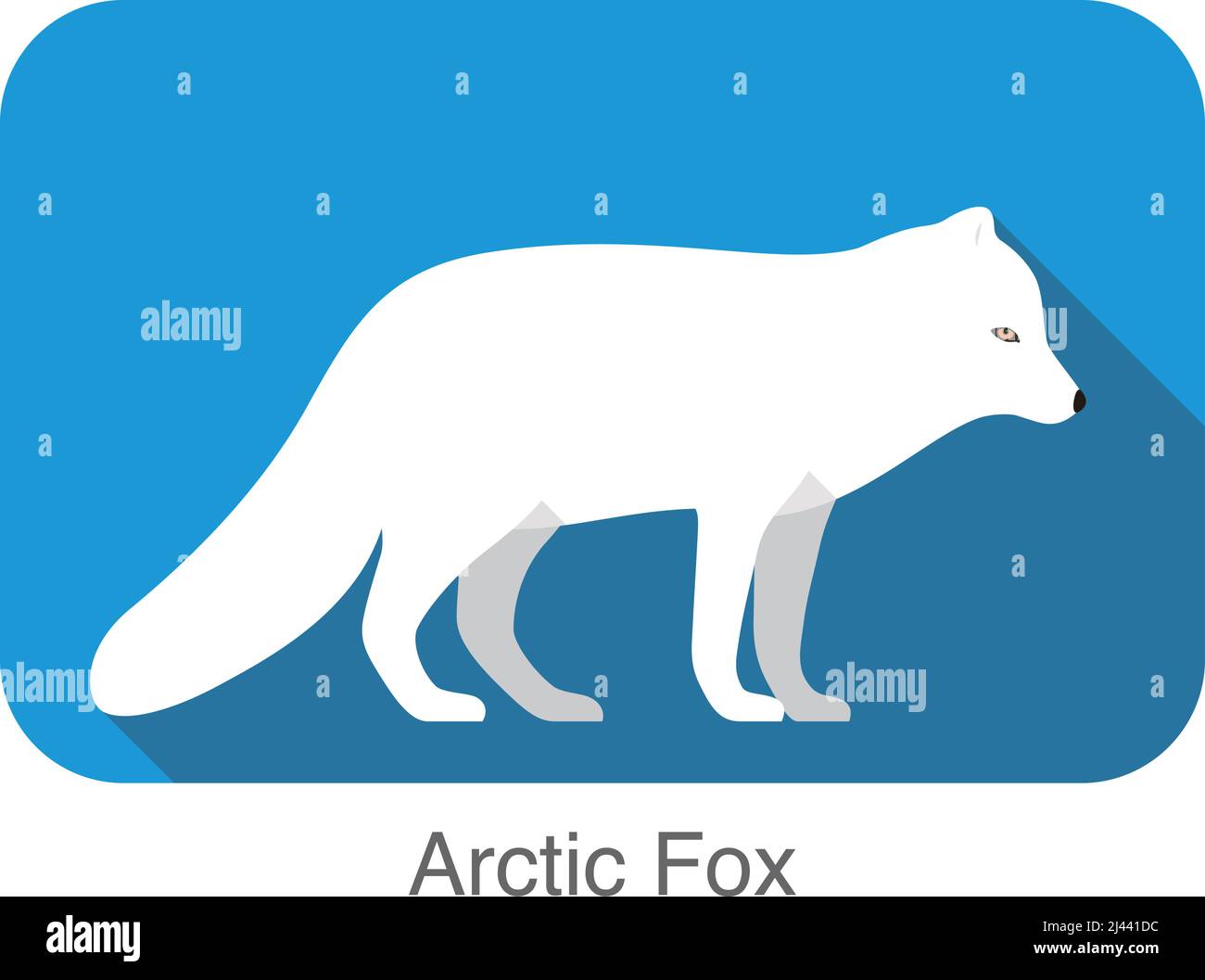 Profile of an arctic fox Cut Out Stock Images & Pictures - Alamy