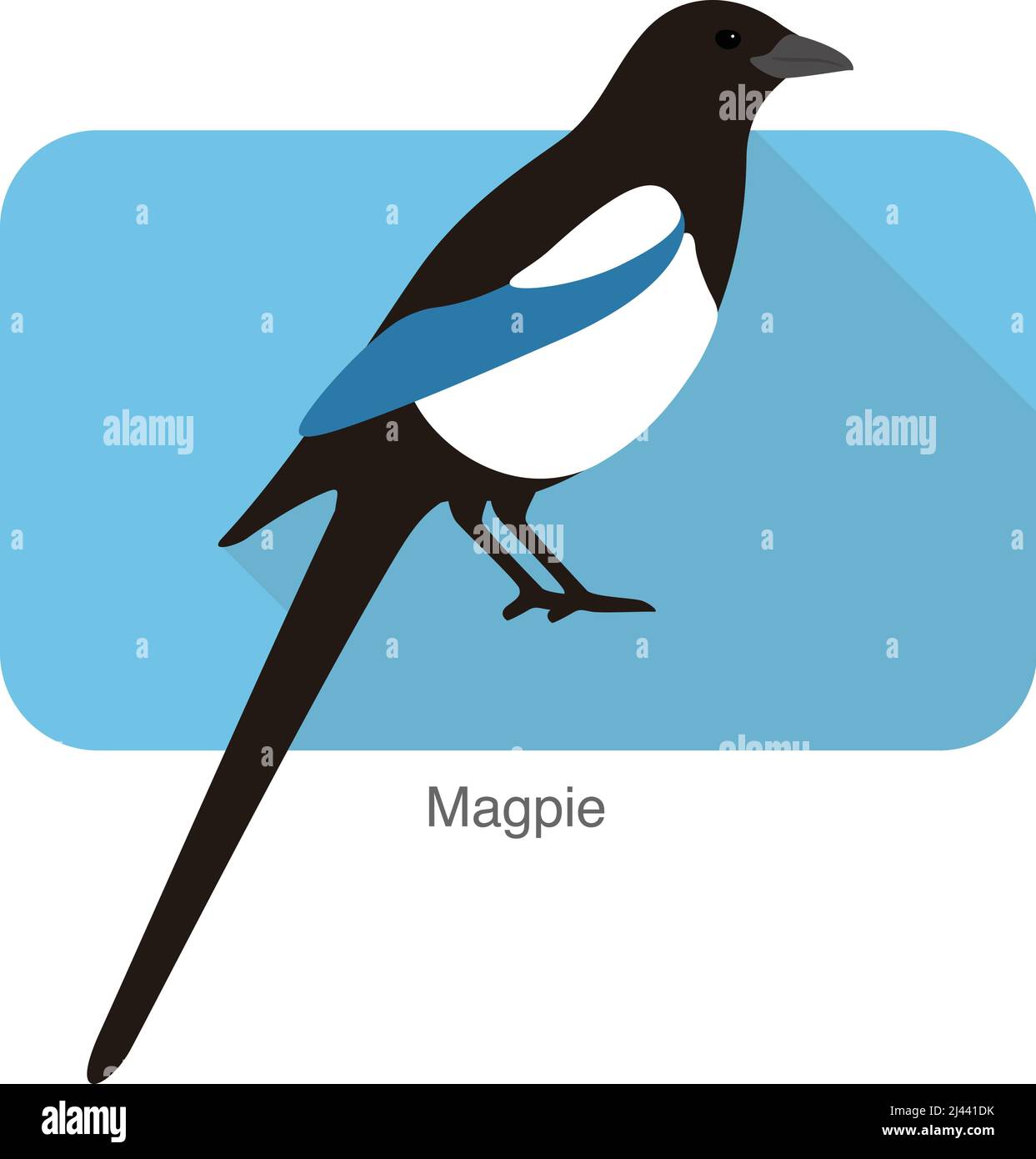 Magpie bird standing on a branch, vector illustration Stock Vector ...