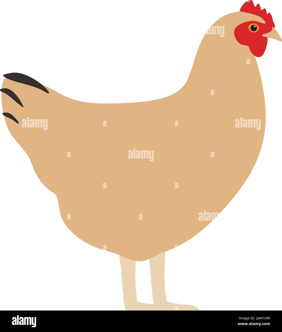 Hen head Stock Vector Images - Alamy