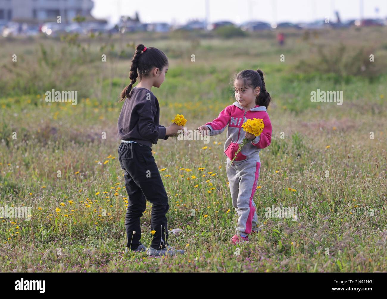 Beirut lebanon girls hi-res stock photography and images - Alamy