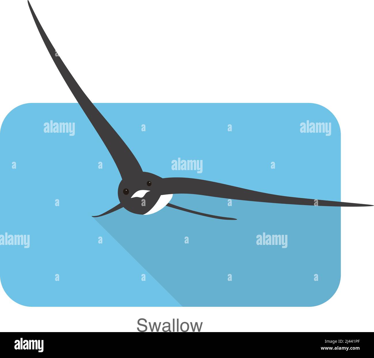 Swallow flat icon design, cartoon, vector illustration Stock Vector ...