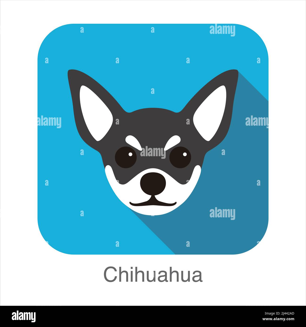 Chihuahua outline vector hi-res stock photography and images - Alamy