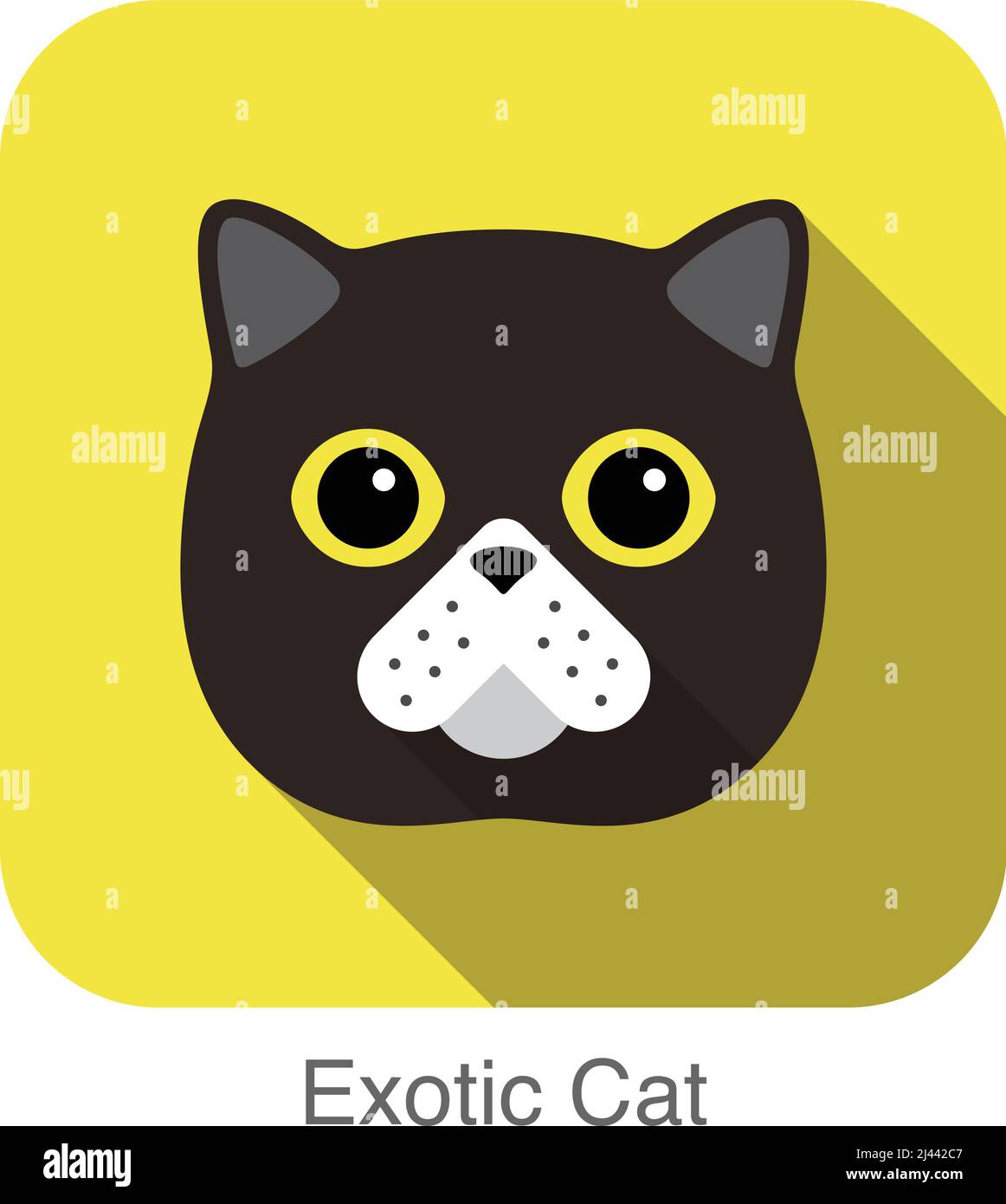 Exotic cat vector vectors Stock Vector Images - Alamy