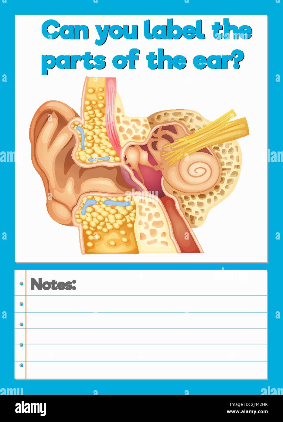 Science Experiment Log Worksheet illustration Stock Vector Image & Art ...