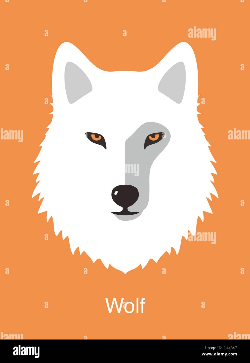 White wolf portrait Stock Vector Images - Alamy