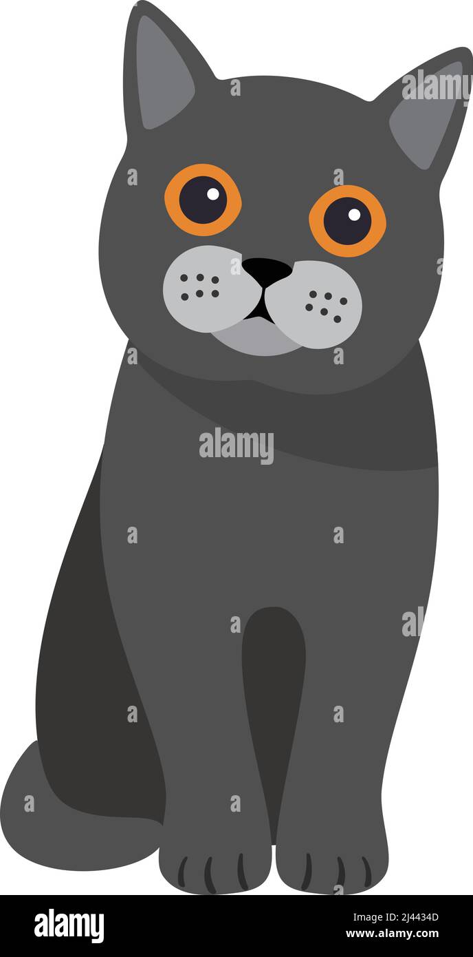 Exotic cat standing, flat icon design, vector illustration Stock Vector ...