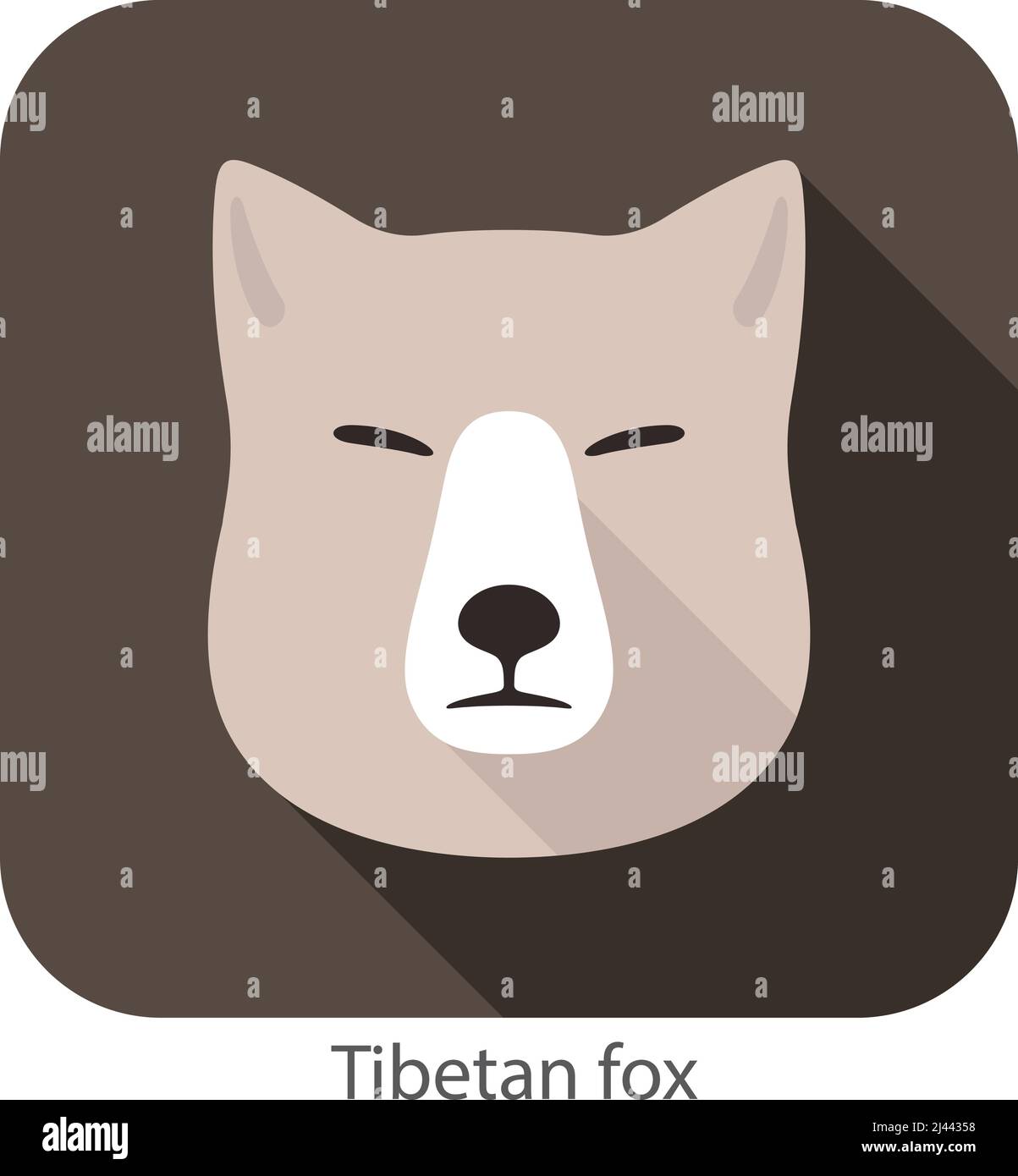 Tibetan fox hi-res stock photography and images - Alamy