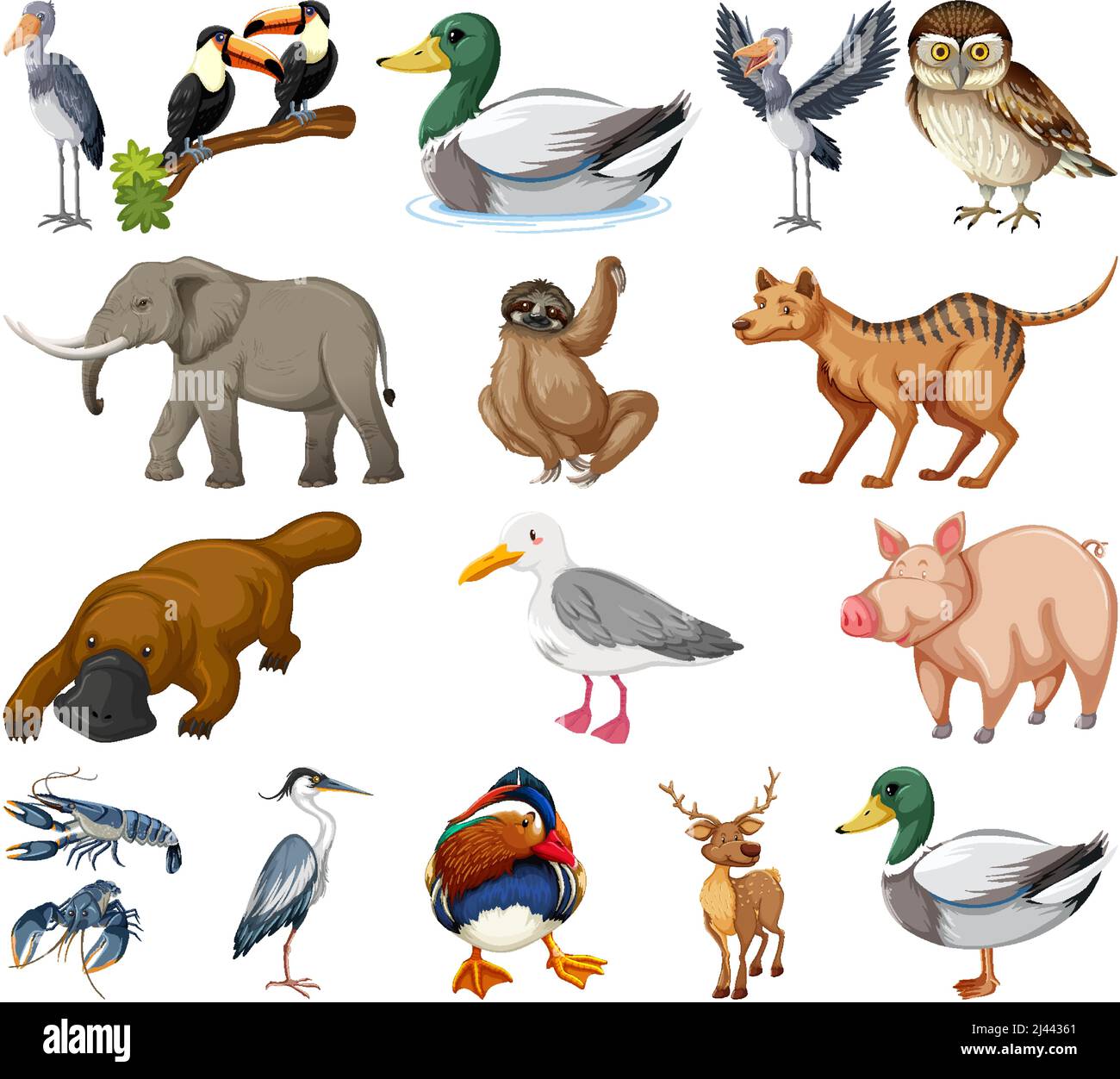 Different kinds of animals collection illustration Stock Vector Image ...