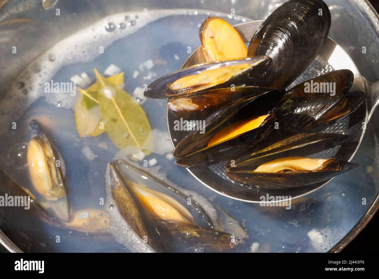 Steaming blue mussels in a steel pot with boiling broth Stock Photo - Alamy