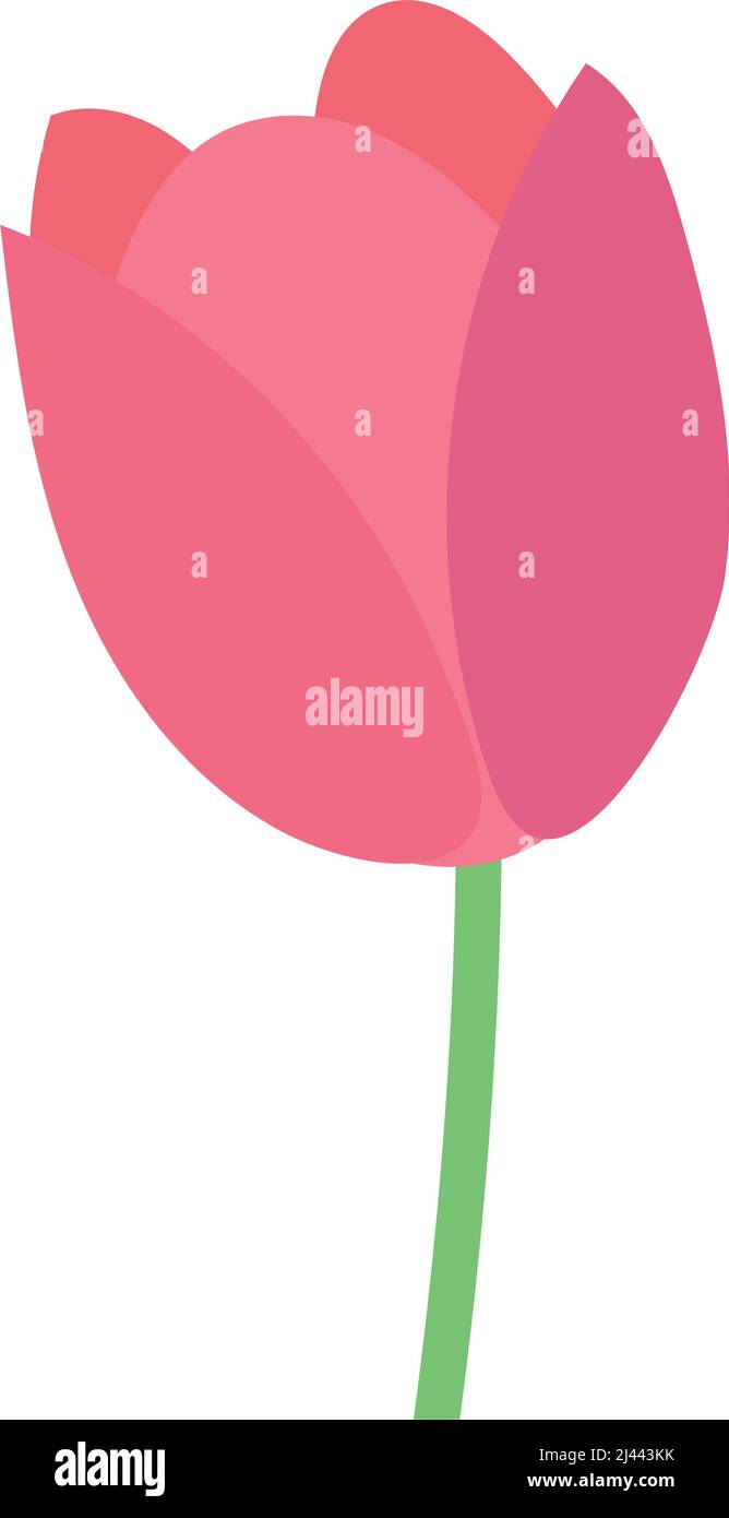 Isolated pink tulip flower icon Vector Stock Vector Image & Art - Alamy