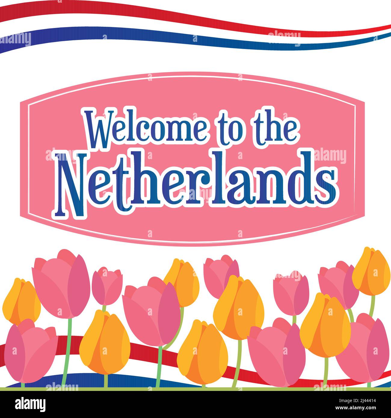 Tulip dutch design Stock Vector Images - Alamy