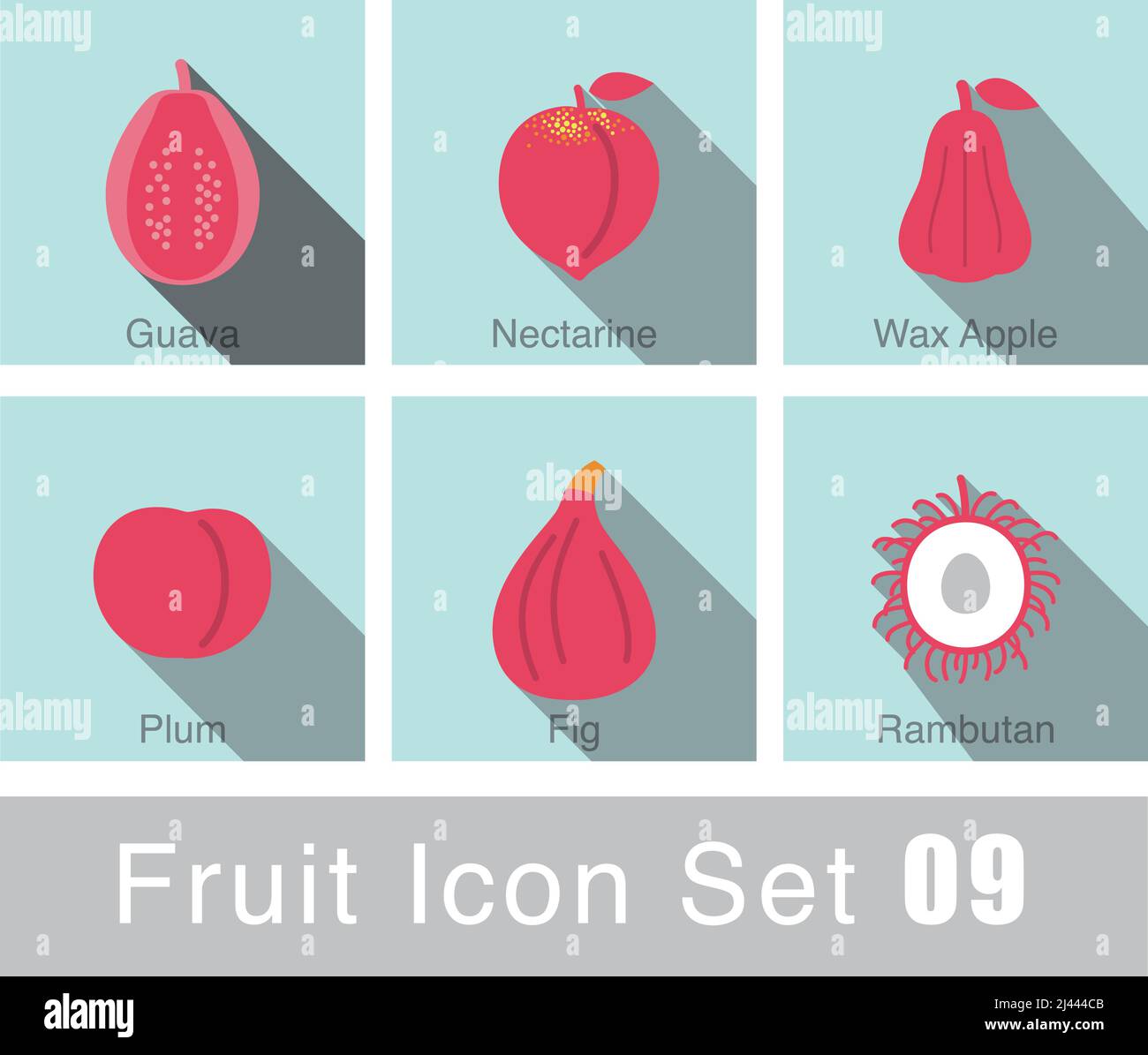 Fruit icon design set, vector illustration Stock Vector Image & Art - Alamy