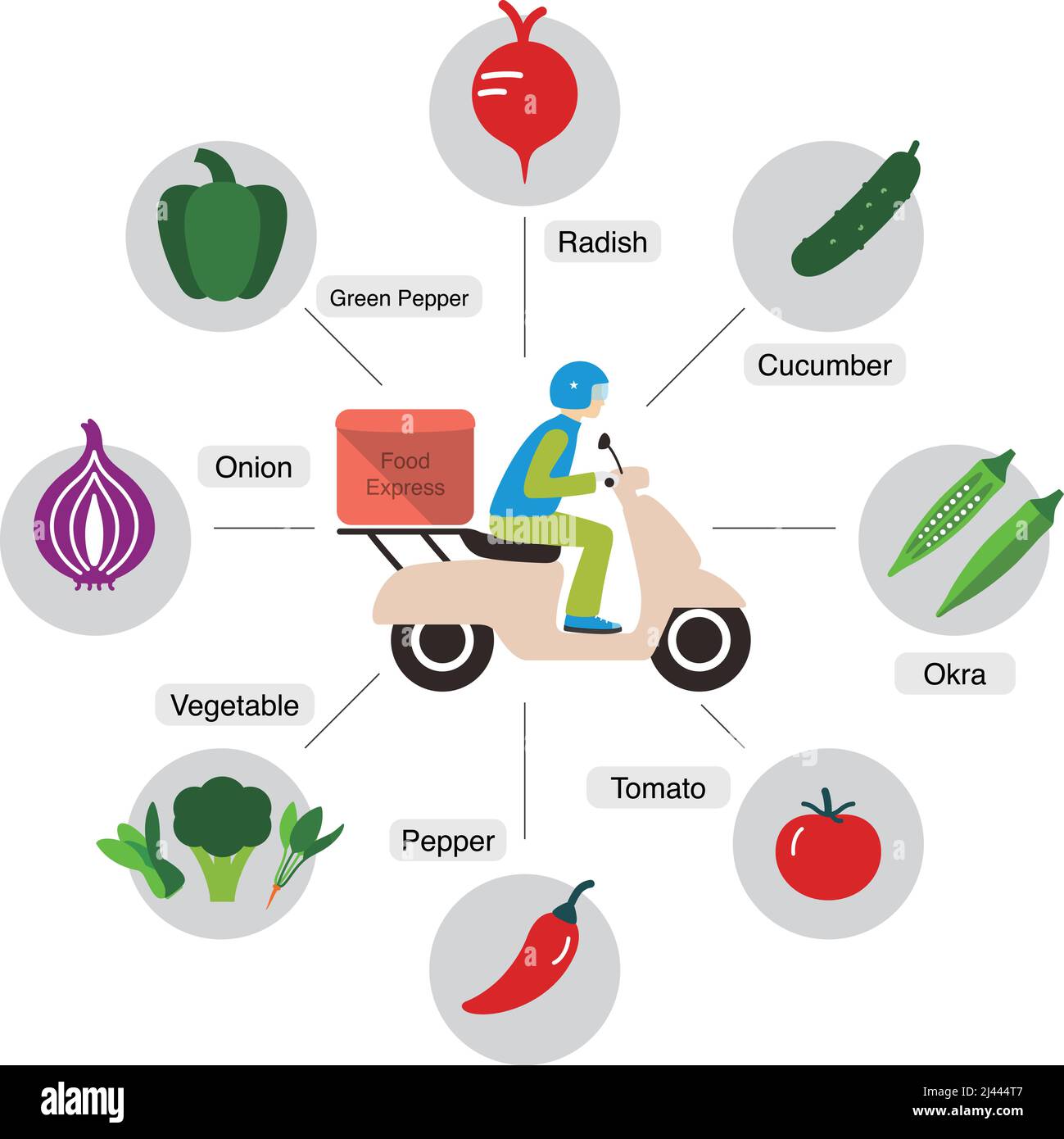 Food delivery with motorcycle flat design vector illustration Stock ...