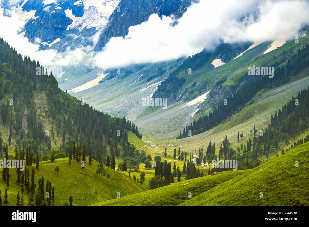 Himalaya panoramic view hi-res stock photography and images - Alamy