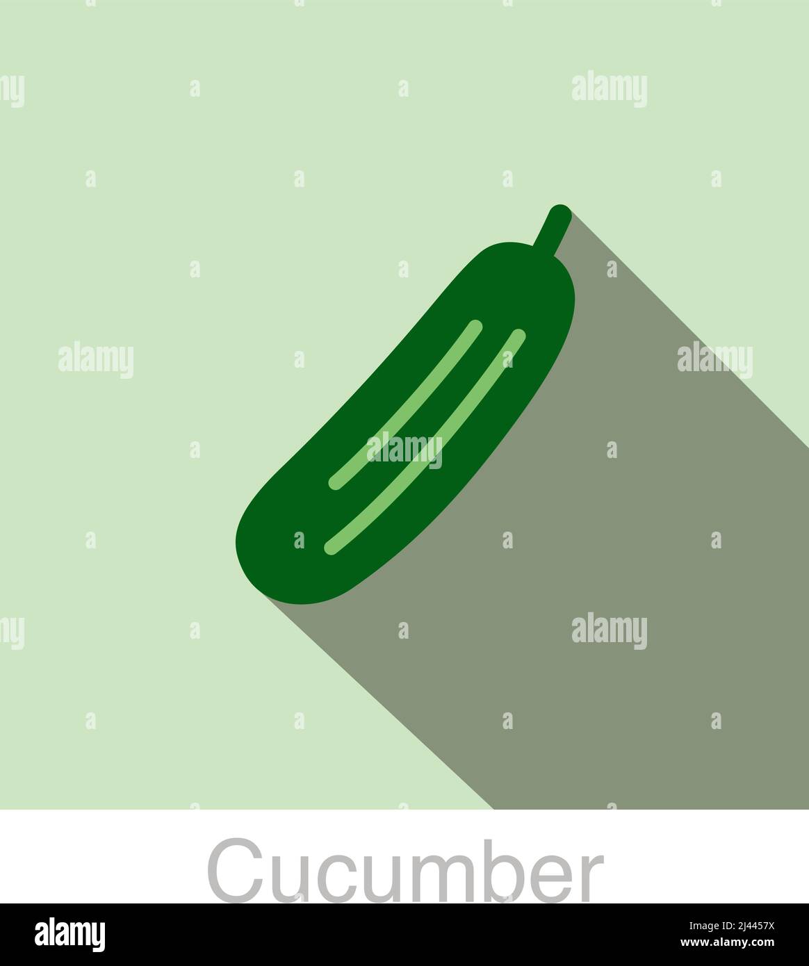 Cucumber vector vectors hi-res stock photography and images - Alamy