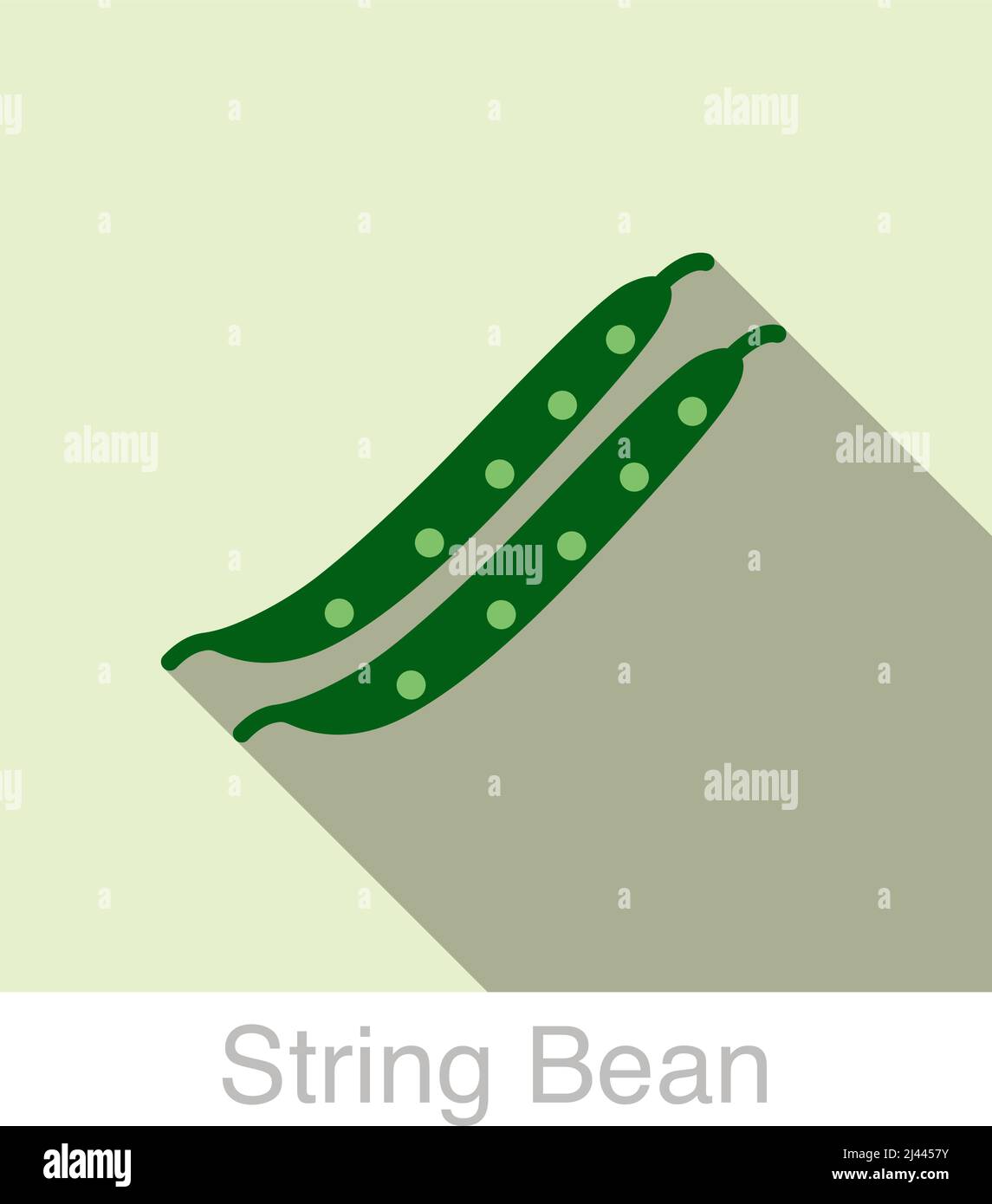 String bean Vegetables food flat icon vector illustration Stock Vector ...