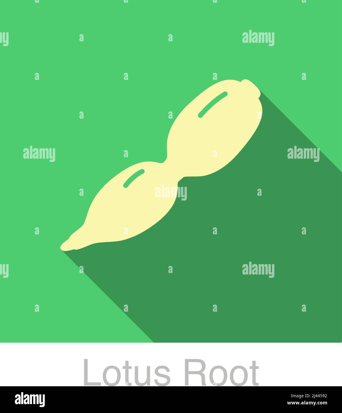 Lotus root food flat icon design vector illustration Stock Vector Image ...