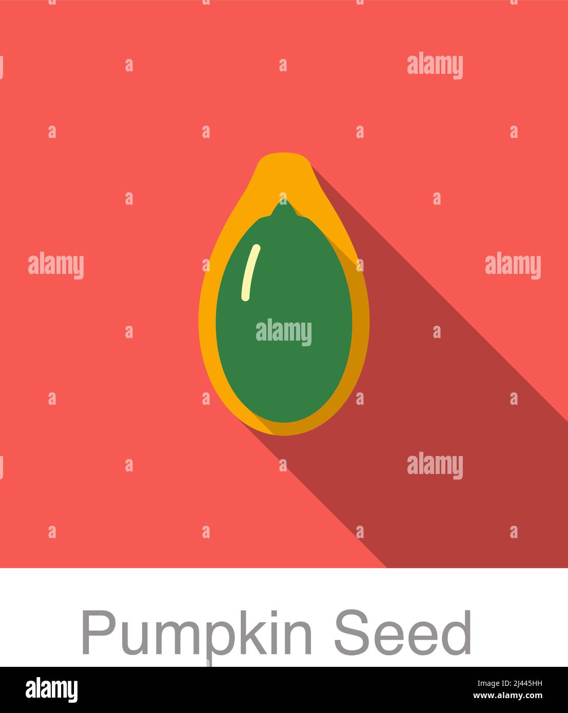 Pumpkin seed flat icon, vector illustration Stock Vector Image & Art ...