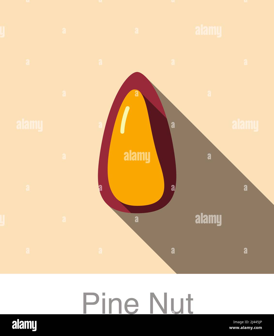 Pine nut flat icon, vector illustration Stock Vector Image & Art - Alamy