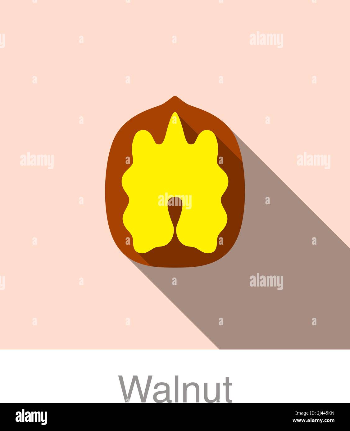 Walnut flat icon, vector illustration Stock Vector Image & Art - Alamy