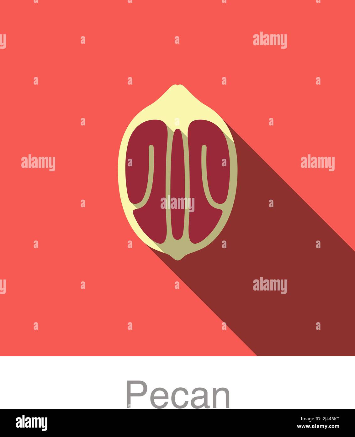 Pecan flat icon, vector illustration Stock Vector Image & Art - Alamy