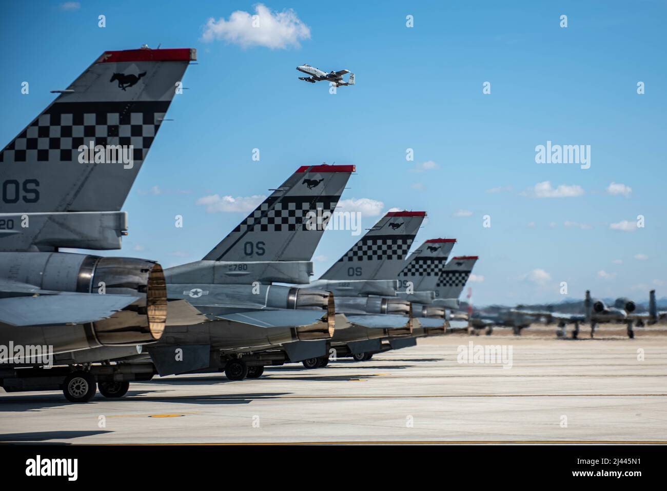 Multiple 36th Fighter Squadron F-16 Fighting Falcons and 25th Fighter ...