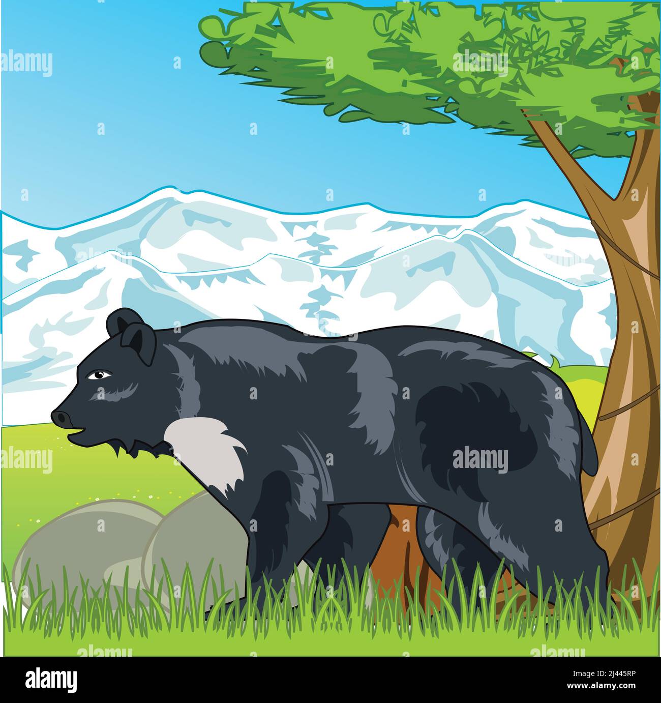 Himalayan flora and fauna Stock Vector Images - Alamy