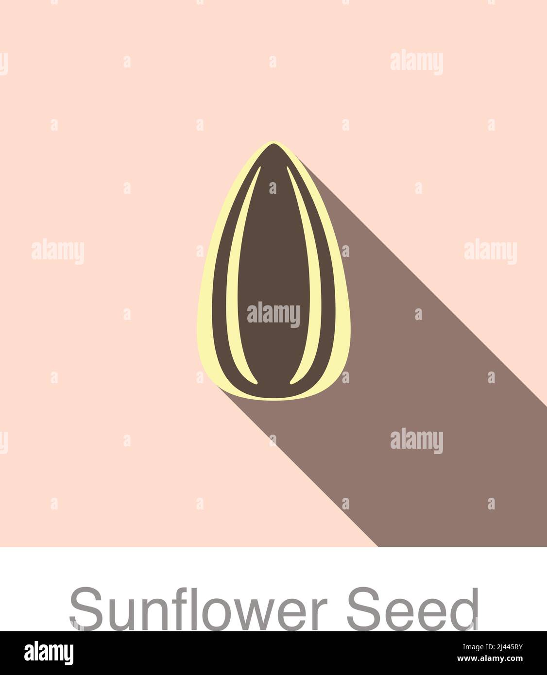 Sunflower seed flat icon, vector illustration Stock Vector Image & Art ...