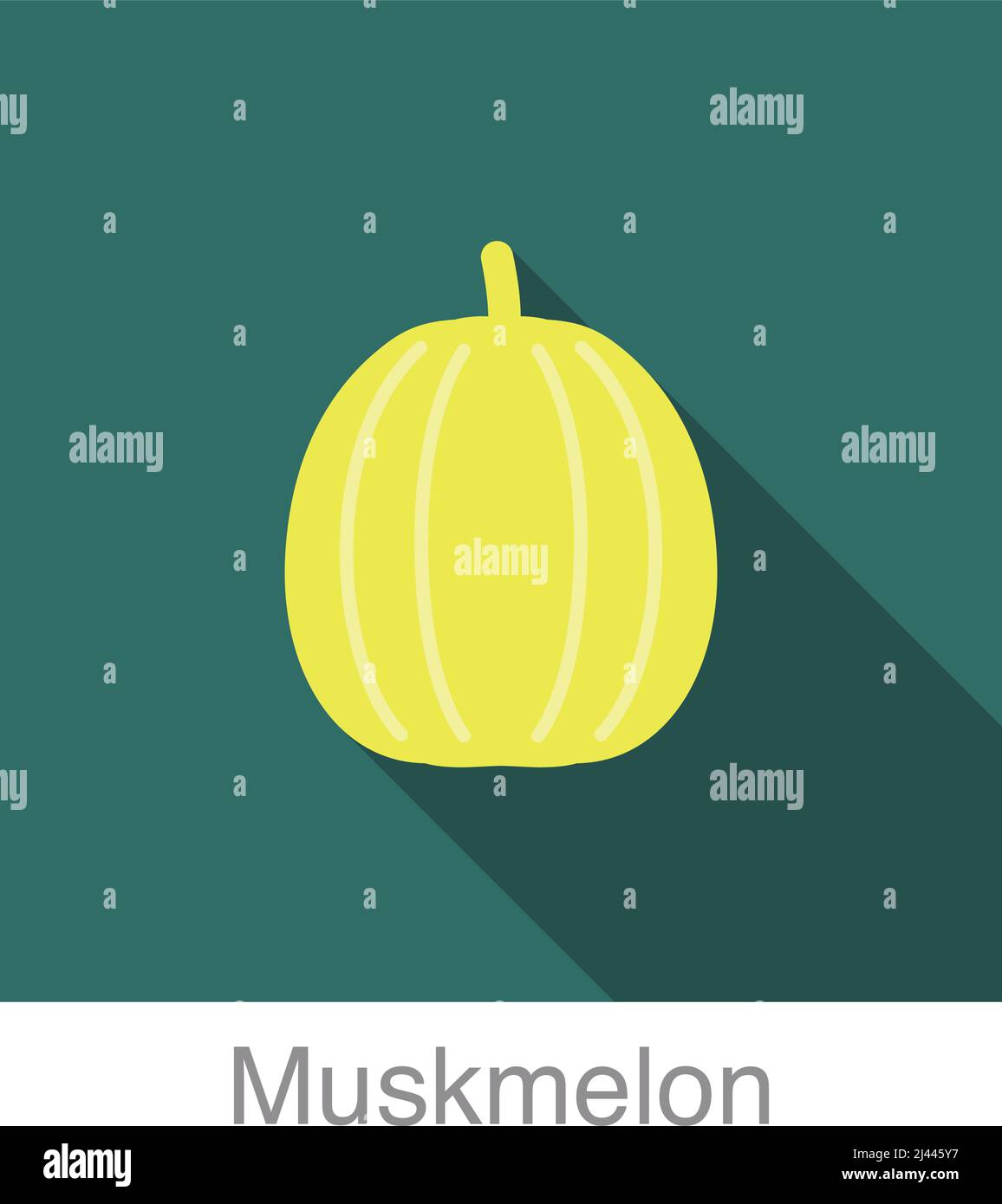 Muskmelon fruit flat icon, vector illustration Stock Vector Image & Art ...