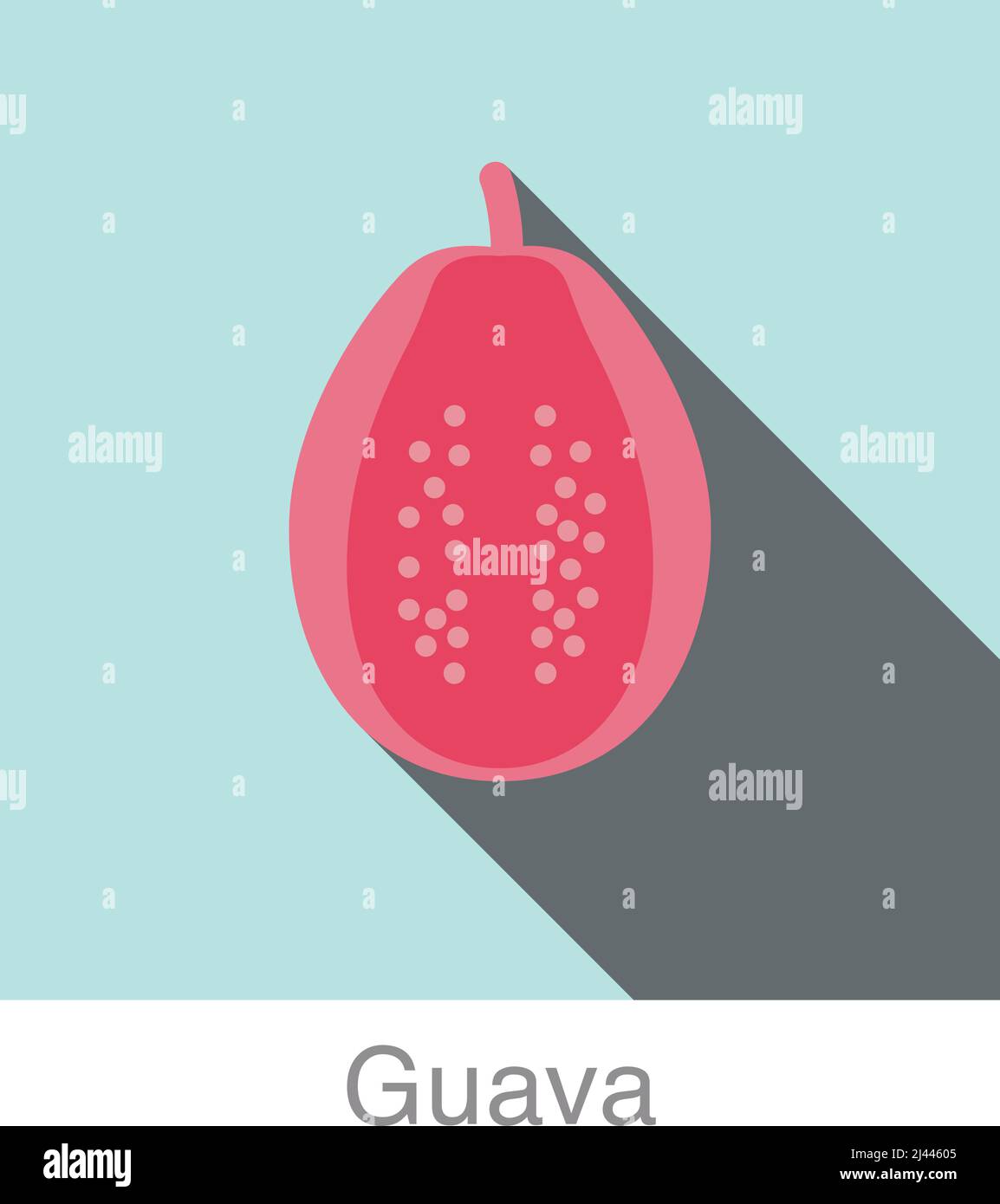 guava fruit flat icon, vector illustration Stock Vector Image & Art - Alamy
