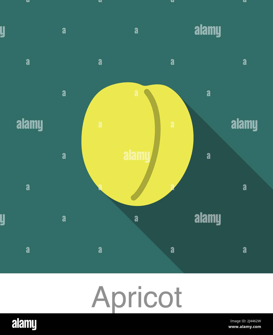 Apricot flesh Stock Vector Images - Alamy