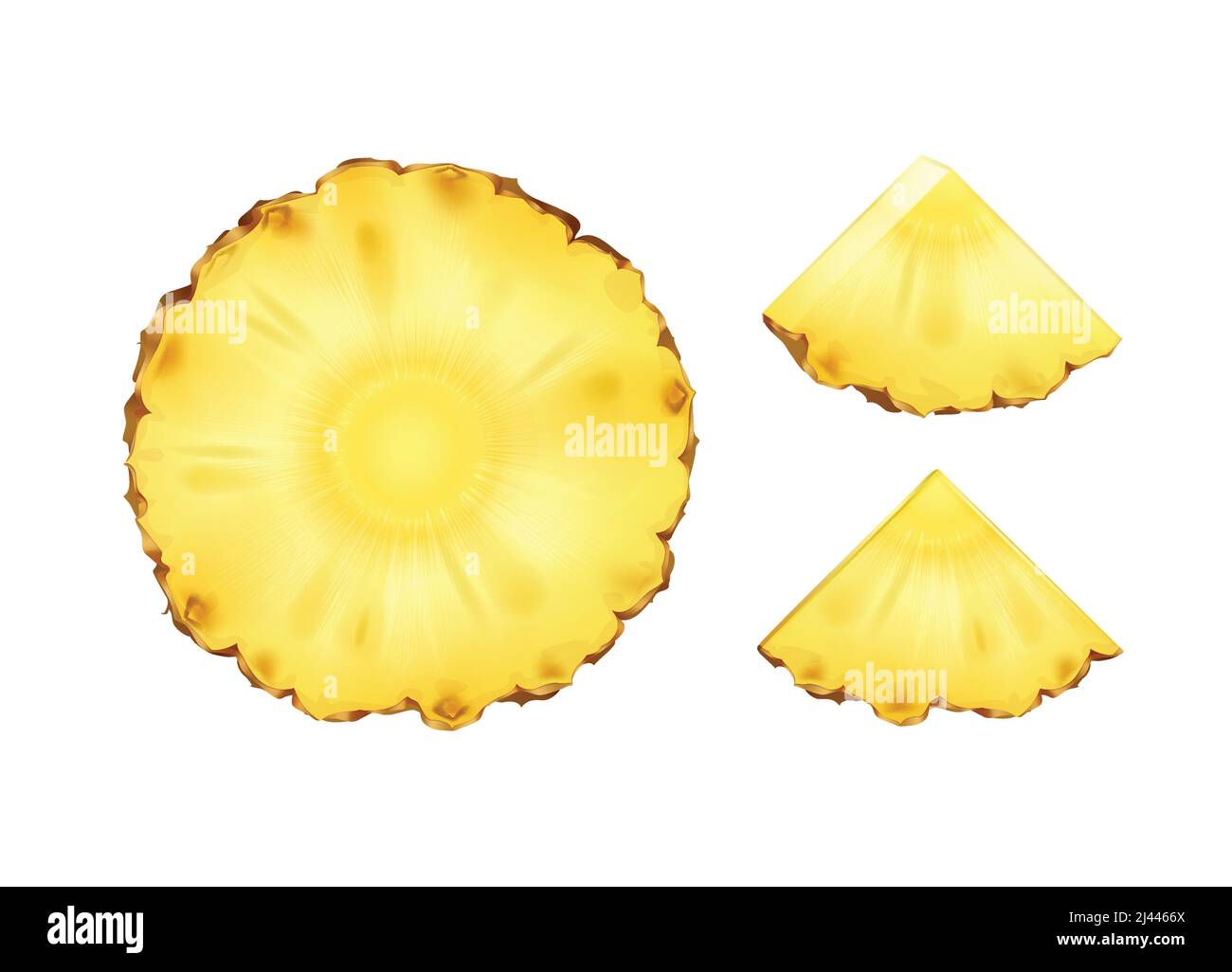Vector pineapple round and triangular slices or wedges isolated on ...