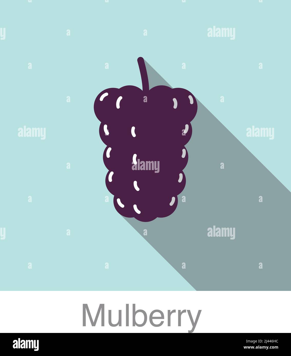 Mulberry fruit flat icon, vector illustration Stock Vector Image & Art ...