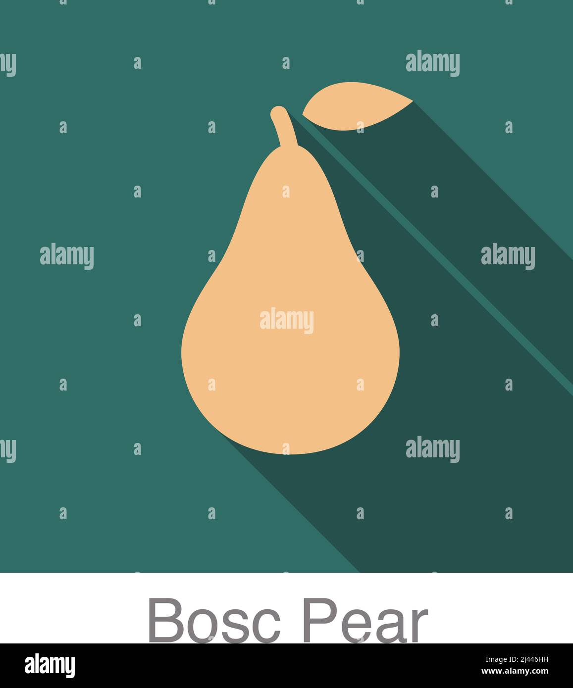 Bosc pear hi-res stock photography and images - Alamy